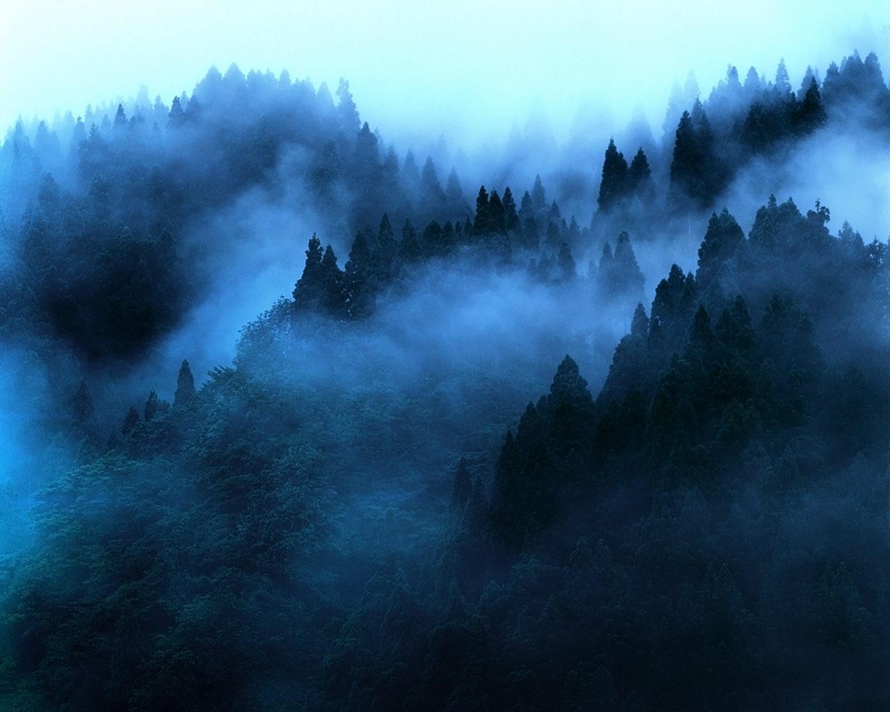 Mist Wallpaper 1280x1024 53503 Mist Wallpaper 1280x1024 53503