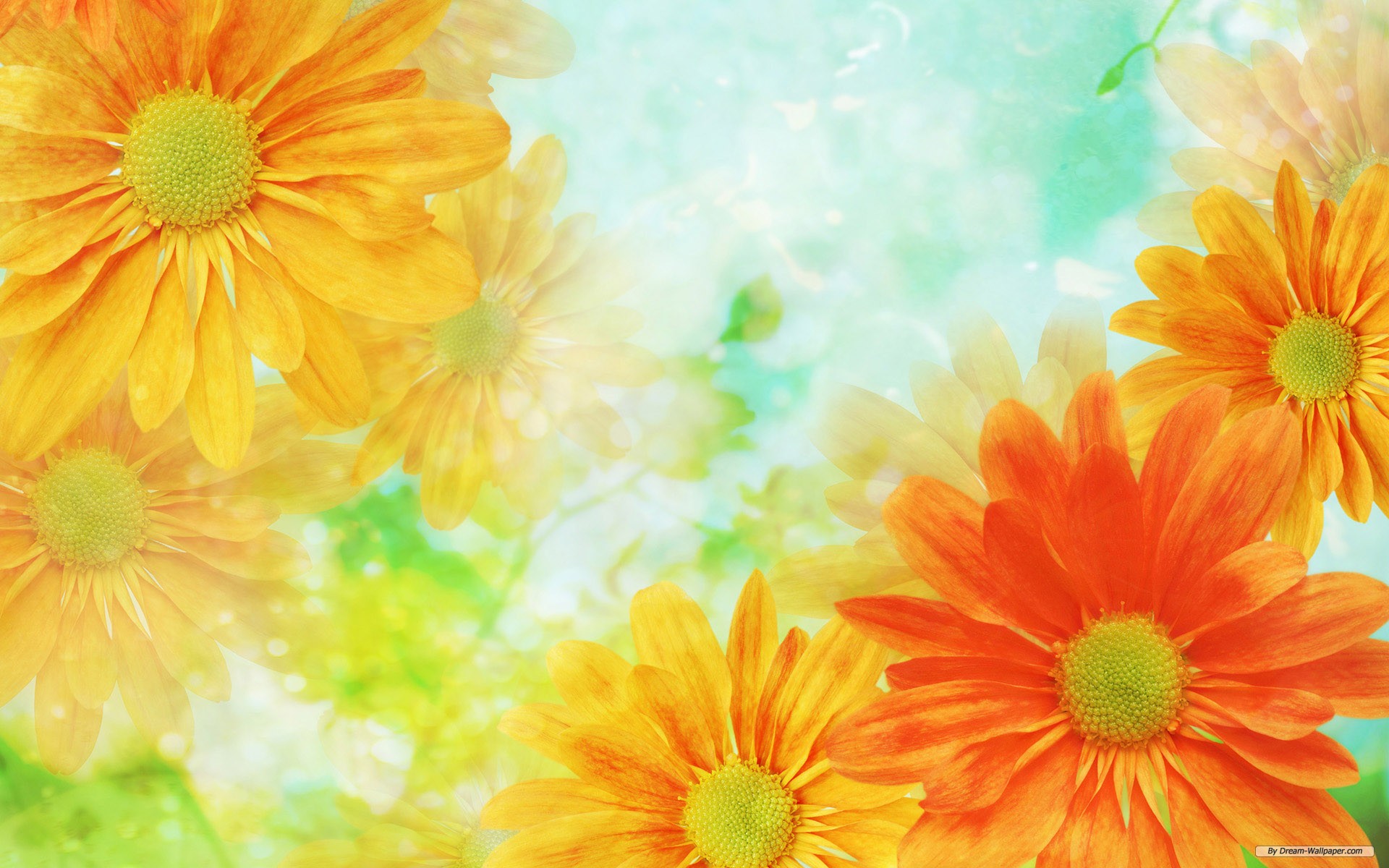 Cool Flowers Background Wallpaper 1920x1200 83290 Cool Flowers Background Wallpaper 1920x1200 83290