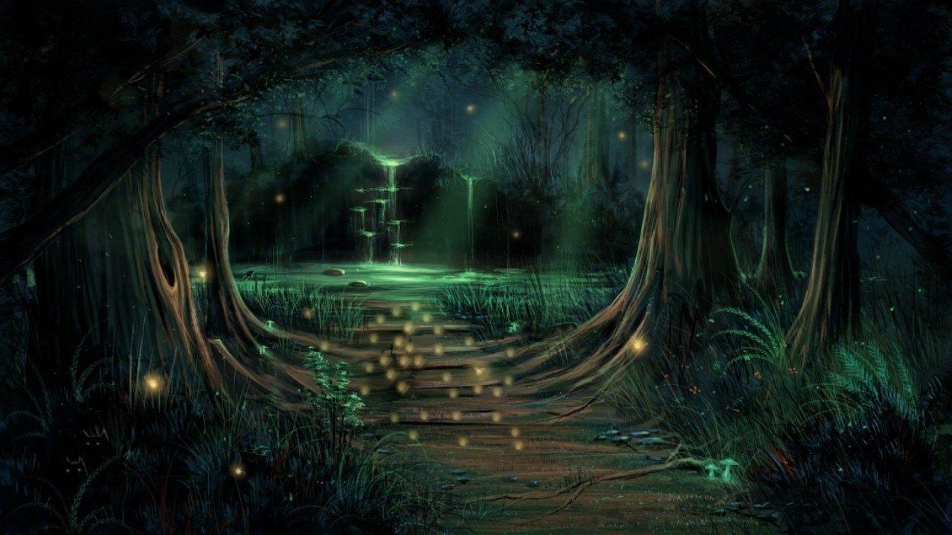 Enchanted Forest Wallpaper 1920x1080 51371
