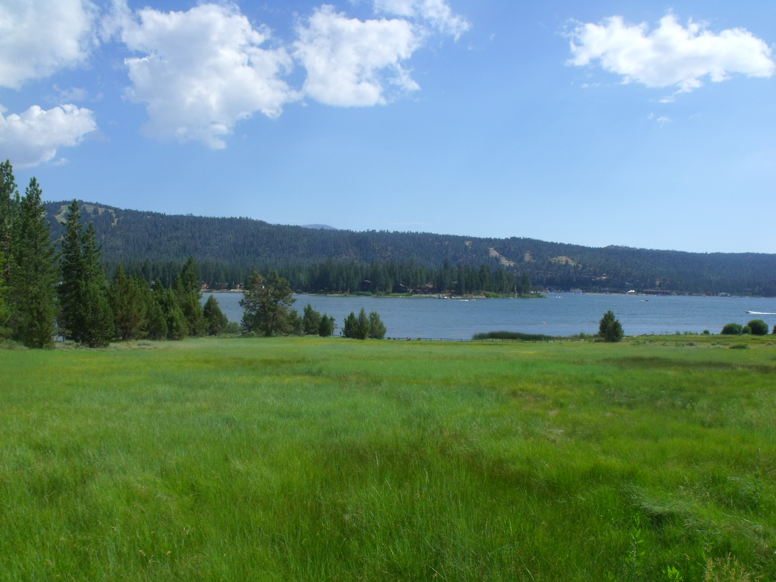 Meadow Wallpaper 1600x1200 2978