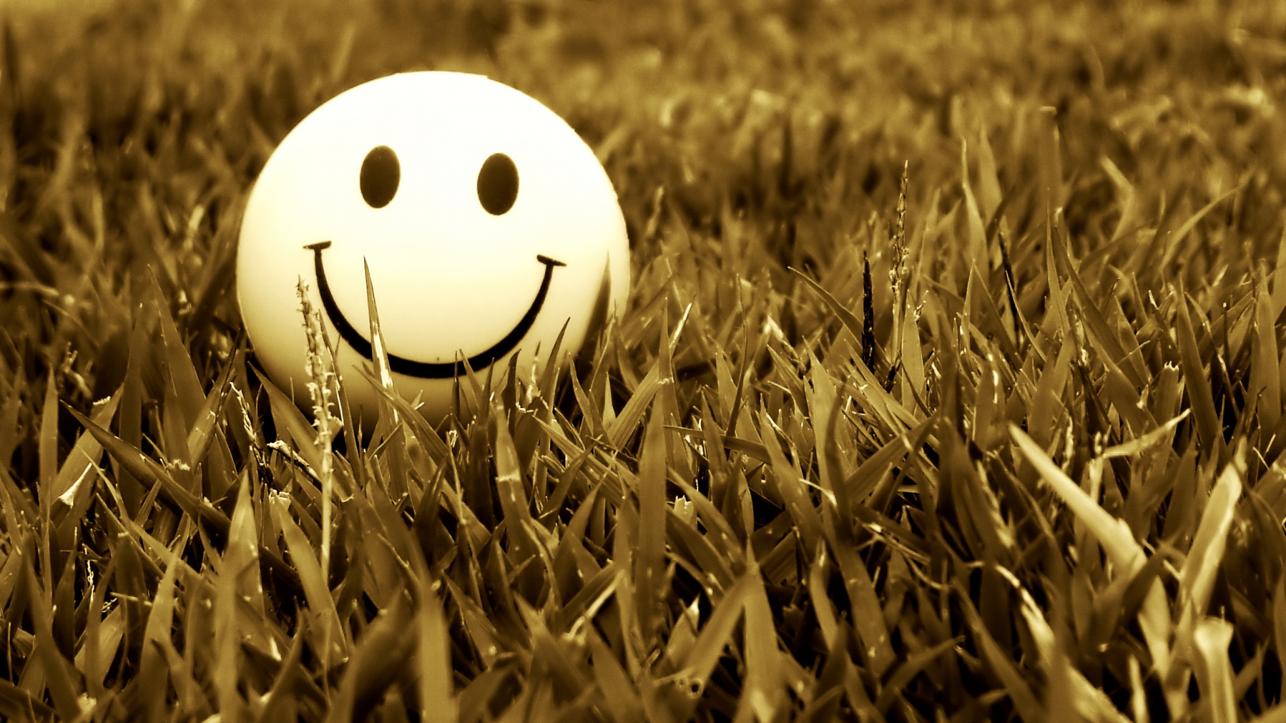 Mood Smile Background Wallpaper 2560x1440 33868 Mood Smile Background Wallpaper 2560x1440 33868