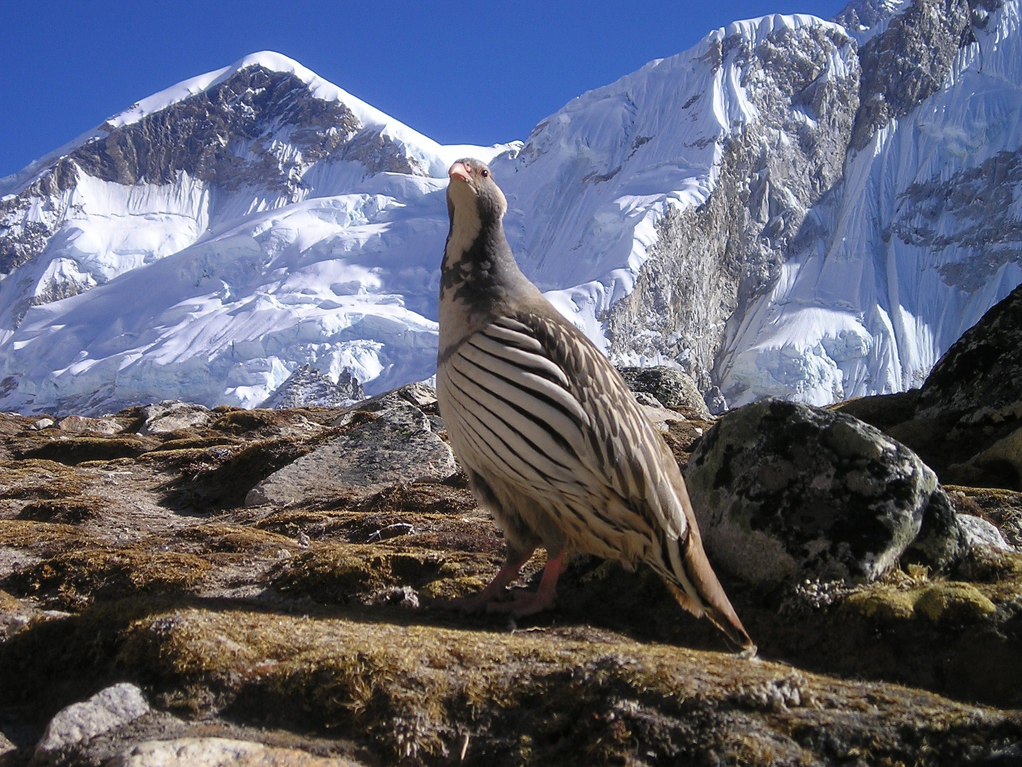 Nepal Wallpaper 2048x1536 73603
