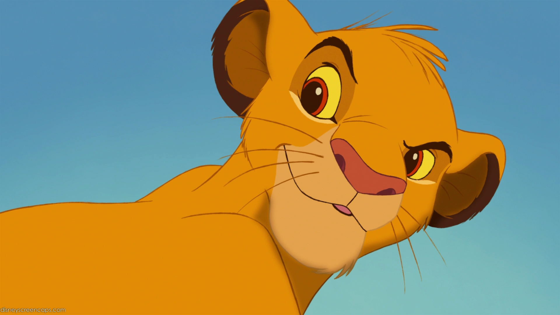 Simba Lion King Wallpaper 1920x1080 43378 Simba Lion King Wallpaper 1920x1080 43378