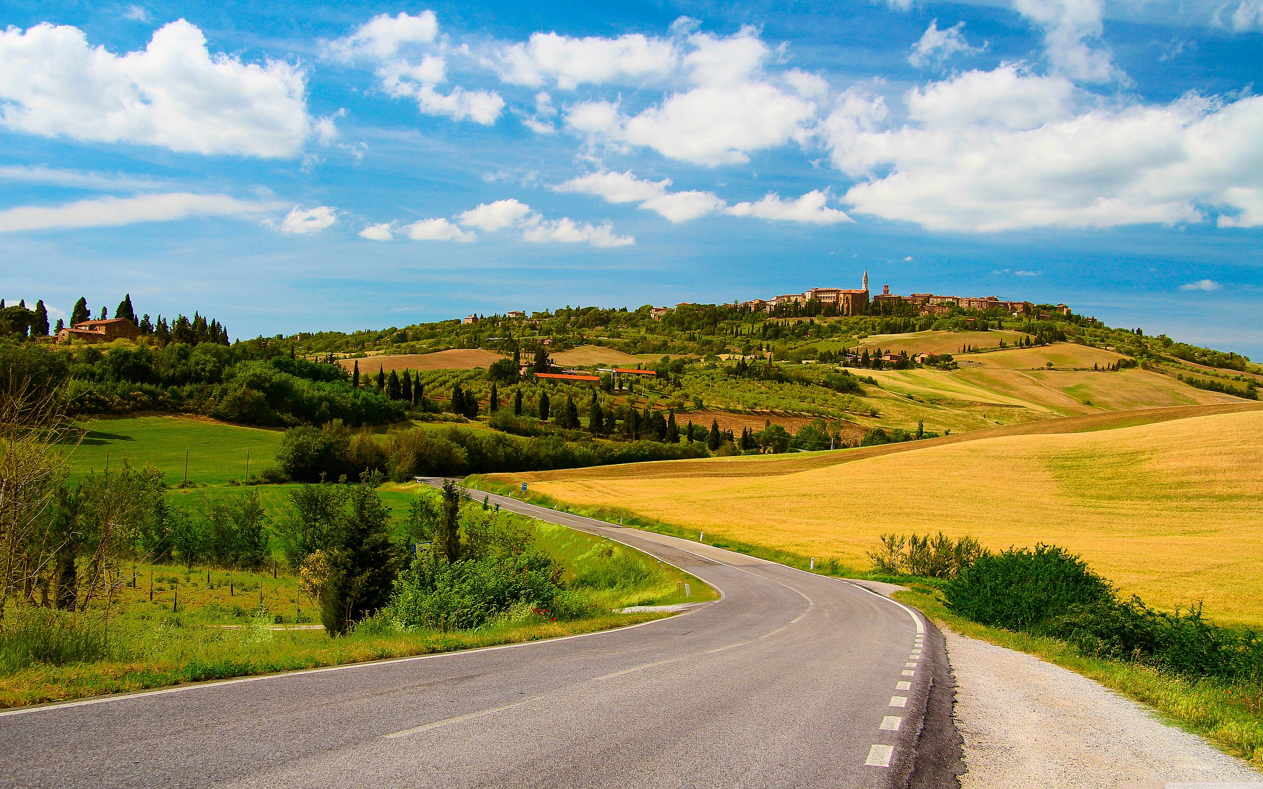 Sunny Day Country Road Wallpaper 2560x1600 32067